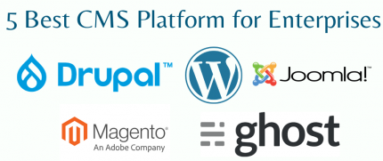 What is a CMS and Why does Your Enterprise Need One?