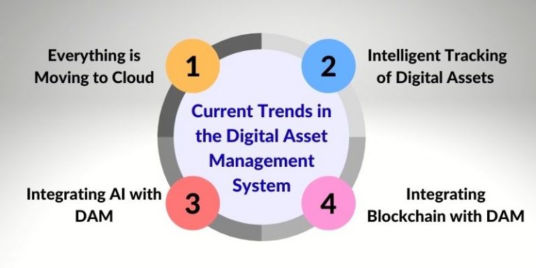 Why Digital Asset Management System for Your Business? - Matellio Inc