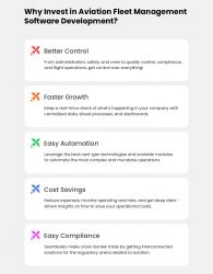 Aviation Fleet Management Software Development – Top Features, Cost ...