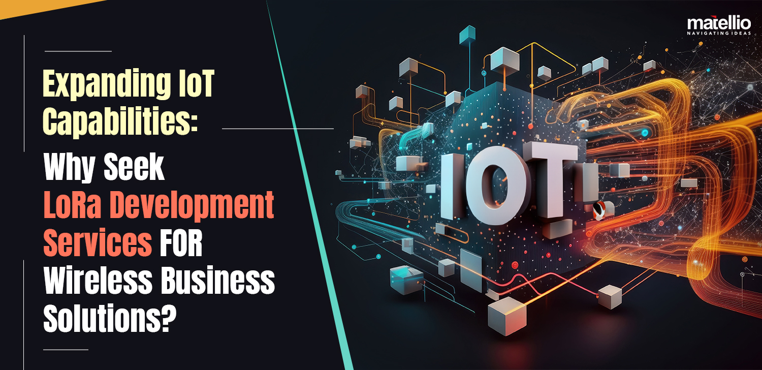 Expanding IoT Capabilities: Why Seek LoRa Development Services for Wireless Business Solutions ...