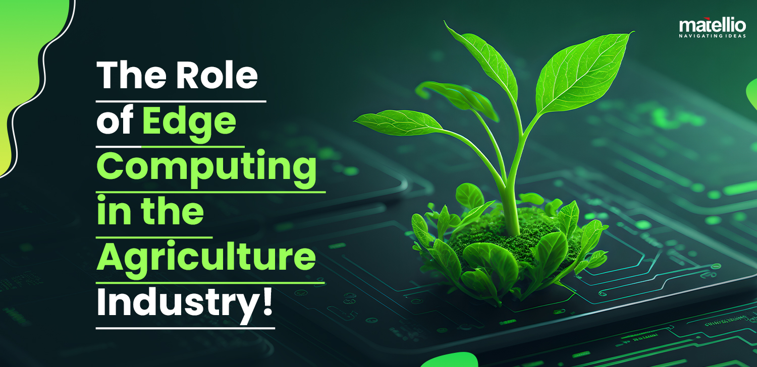 The Role of Edge Computing in the Agriculture Industry! - Matellio Inc