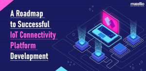 A Roadmap to Successful IoT Connectivity Platform Development ...