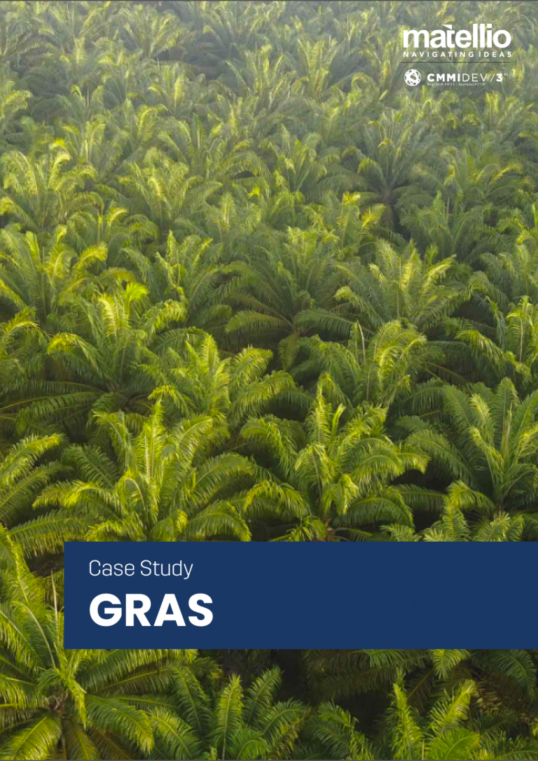 GRAS Risk Assessment – Advancing Risk Analysis with Spatial Modeling ...