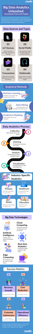 Unlocking Insights: Big Data Analytics Infographic - Matellio Inc.